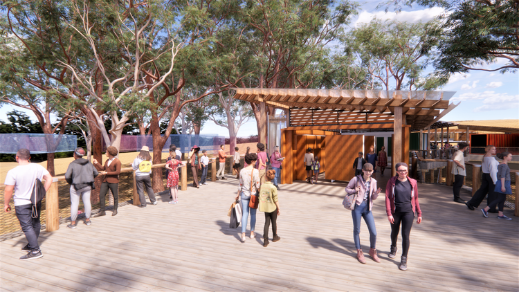 Building a Sustainable Wild Koala Breeding Facility – Koala ...