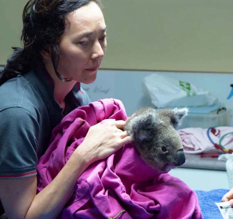 Koala Research & Education – Koala Conservation Australia