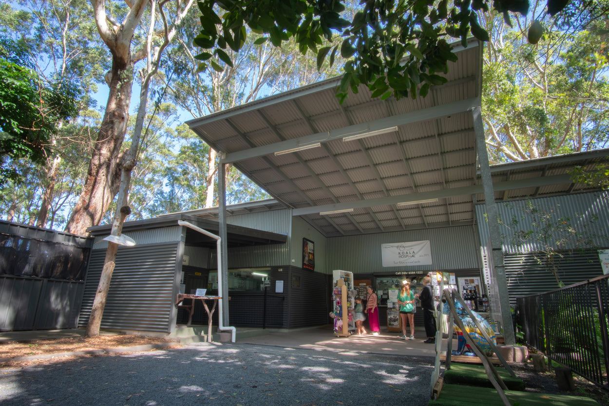 Events – Koala Conservation Australia