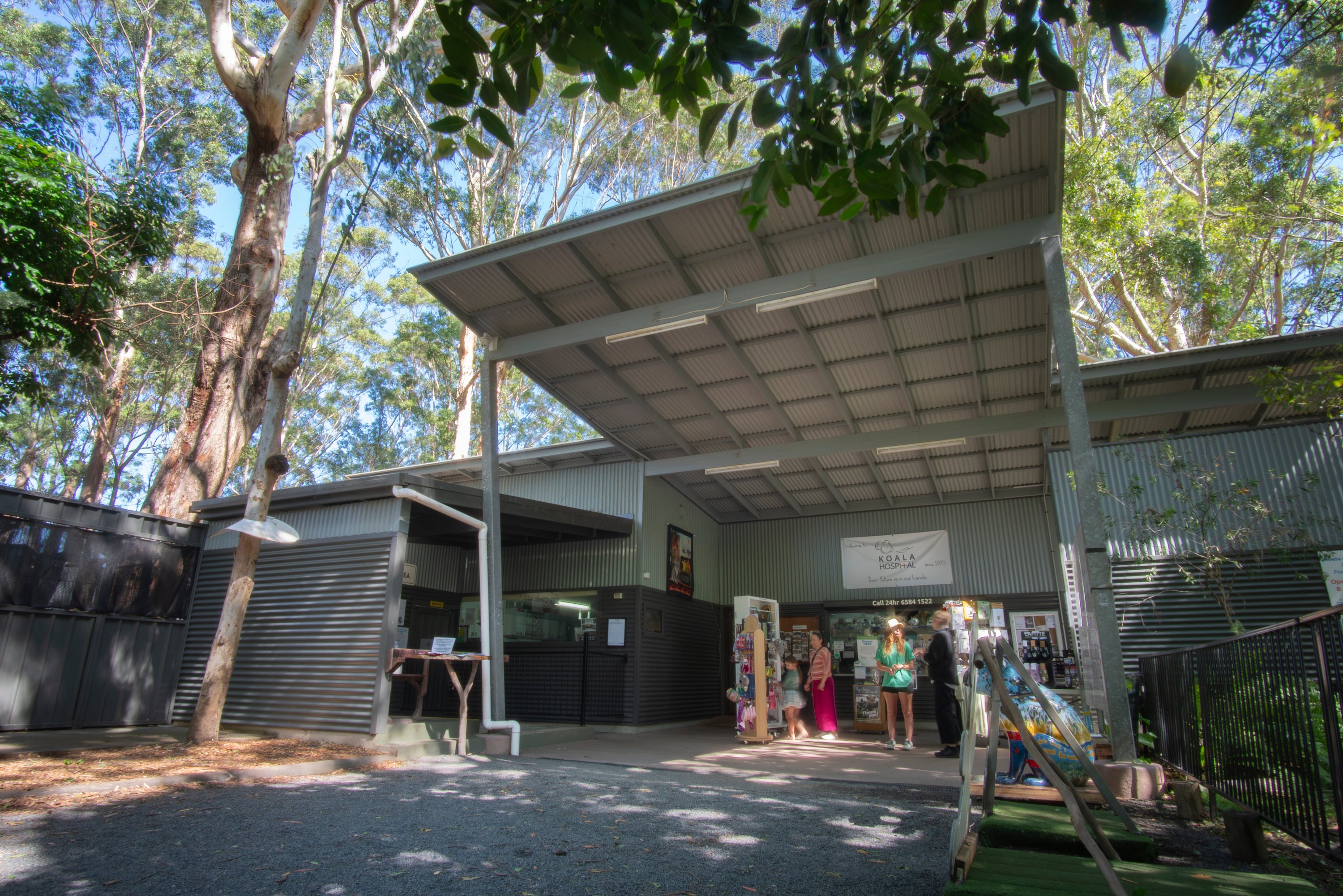 Events – Koala Conservation Australia