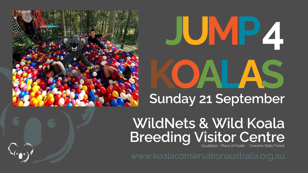 Events – Koala Conservation Australia