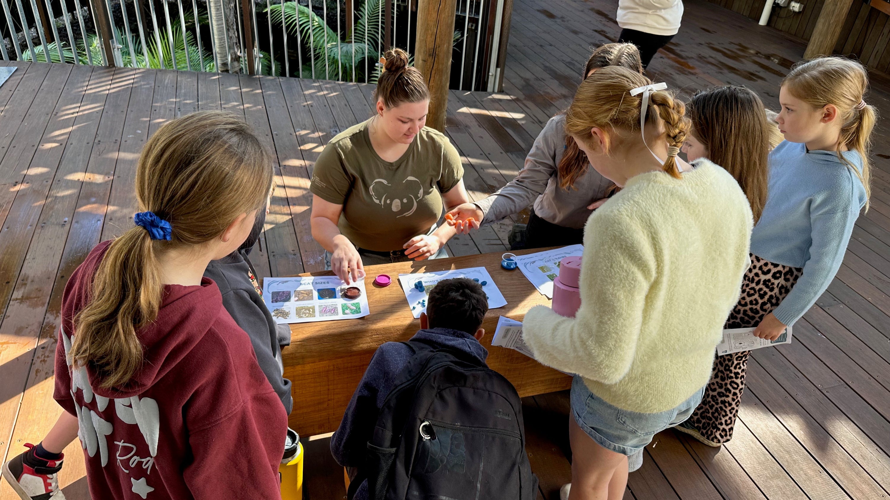 Events – Koala Conservation Australia