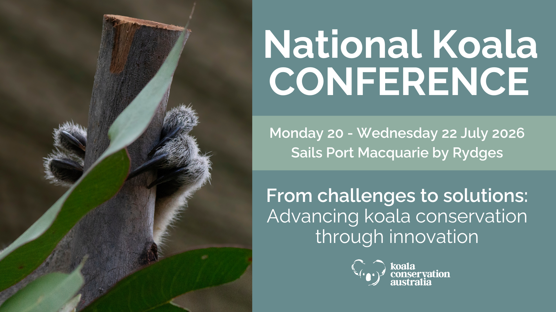 Events – Koala Conservation Australia